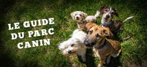 Le guide du parc canin - Cours & Dressage pour chien, comportement ...